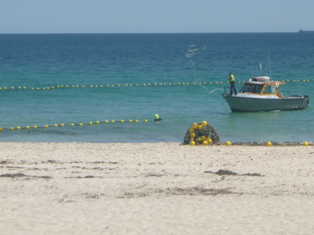 Latest News » Town of Cottesloe